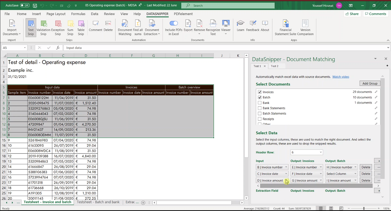 How to perform batch payment test of detail procedures with DataSnipper